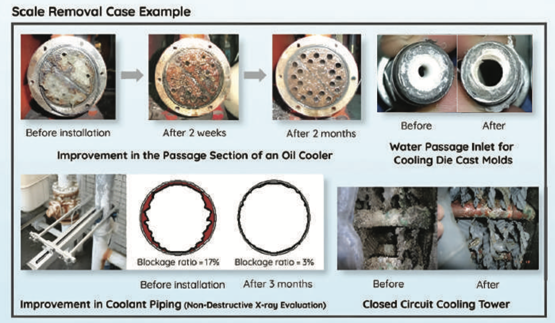 Scale Removal Examples